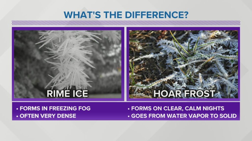 What is the Difference between Rime Ice And Hoar Frost: Key Insights ...